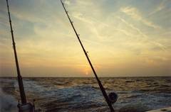 Tourism & Things to Do | City of Freeport, TX